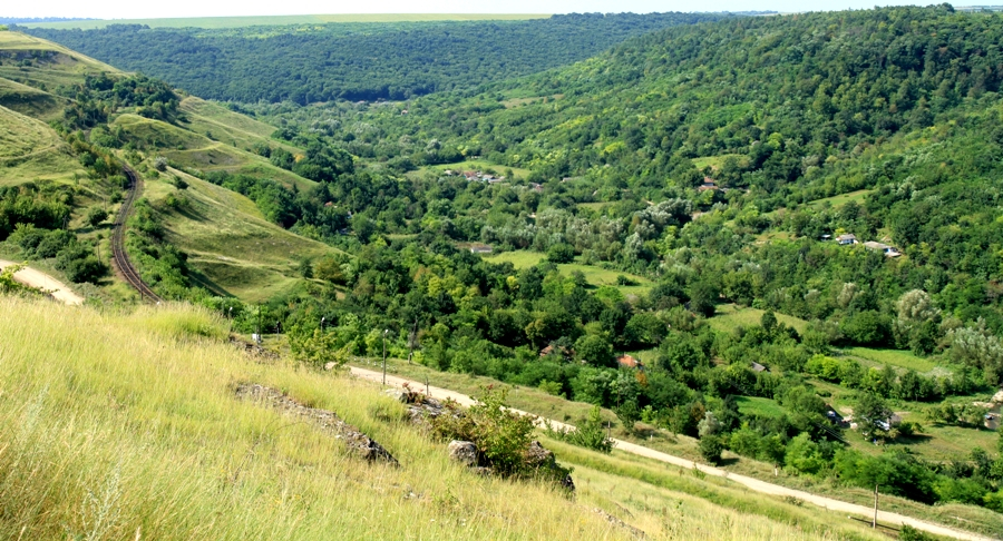Republica Moldova rămâne fără păduri!